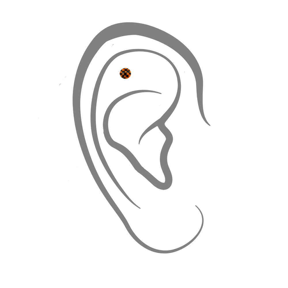 Ear Piercings – Keen on Piercing