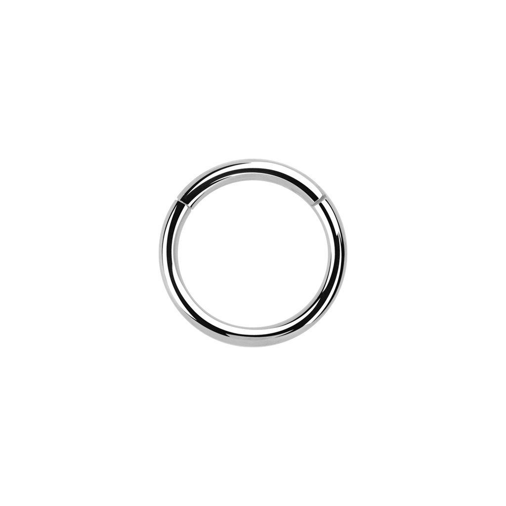 14g Silver Surgical Steel Hinged Ring – Keen on Piercing