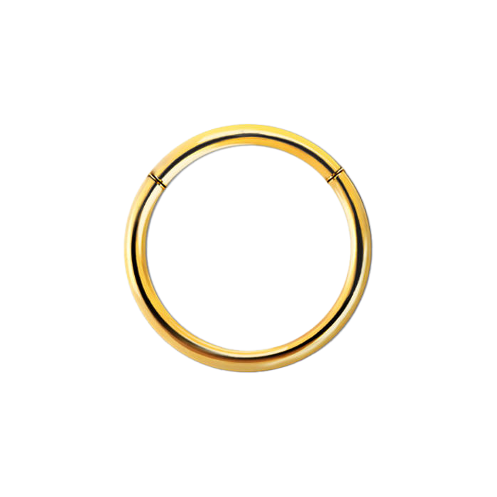 16g Gold Anodized Titanium Hinged Ring – Keen on Piercing